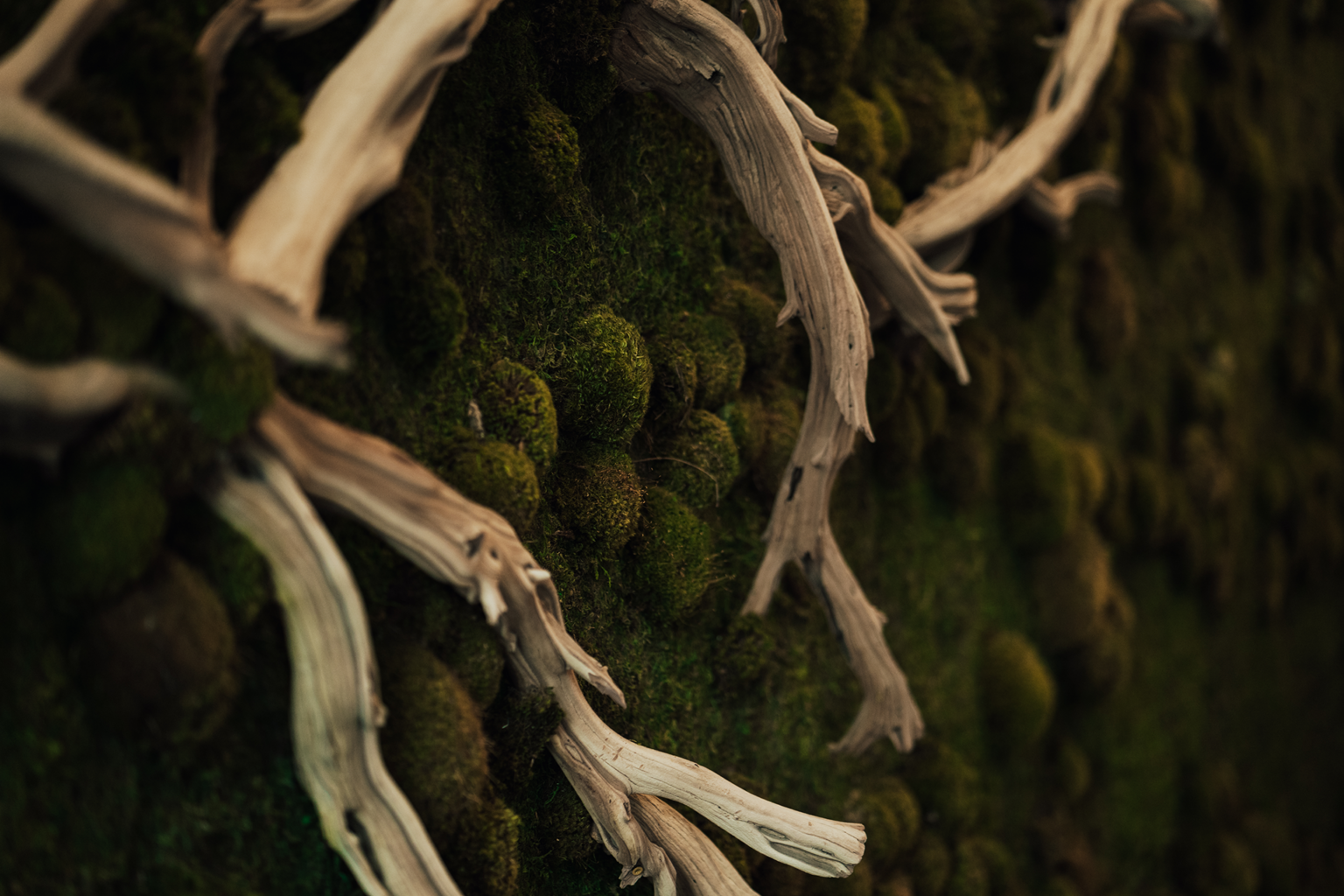 Community - The Refuge Spa – At Renaissance Reno Downtown Hotel & Spa